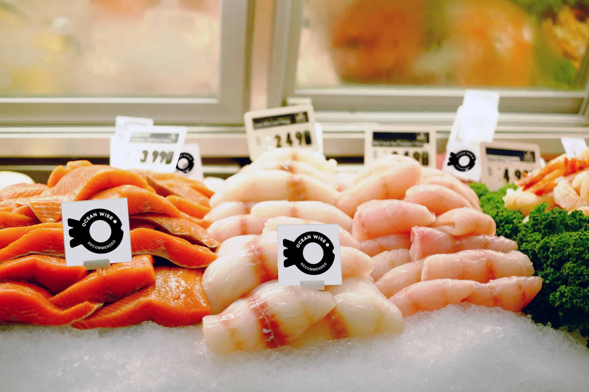 Sustainable Seafood - Ocean Wise