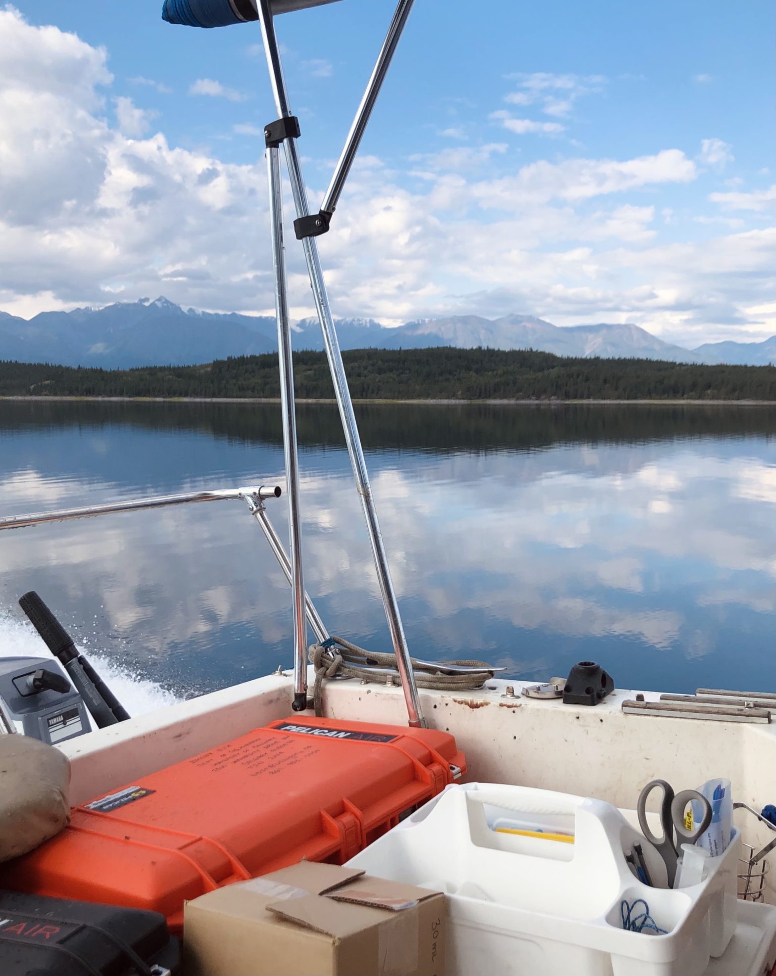 Whale Report Alert System - Ocean Wise