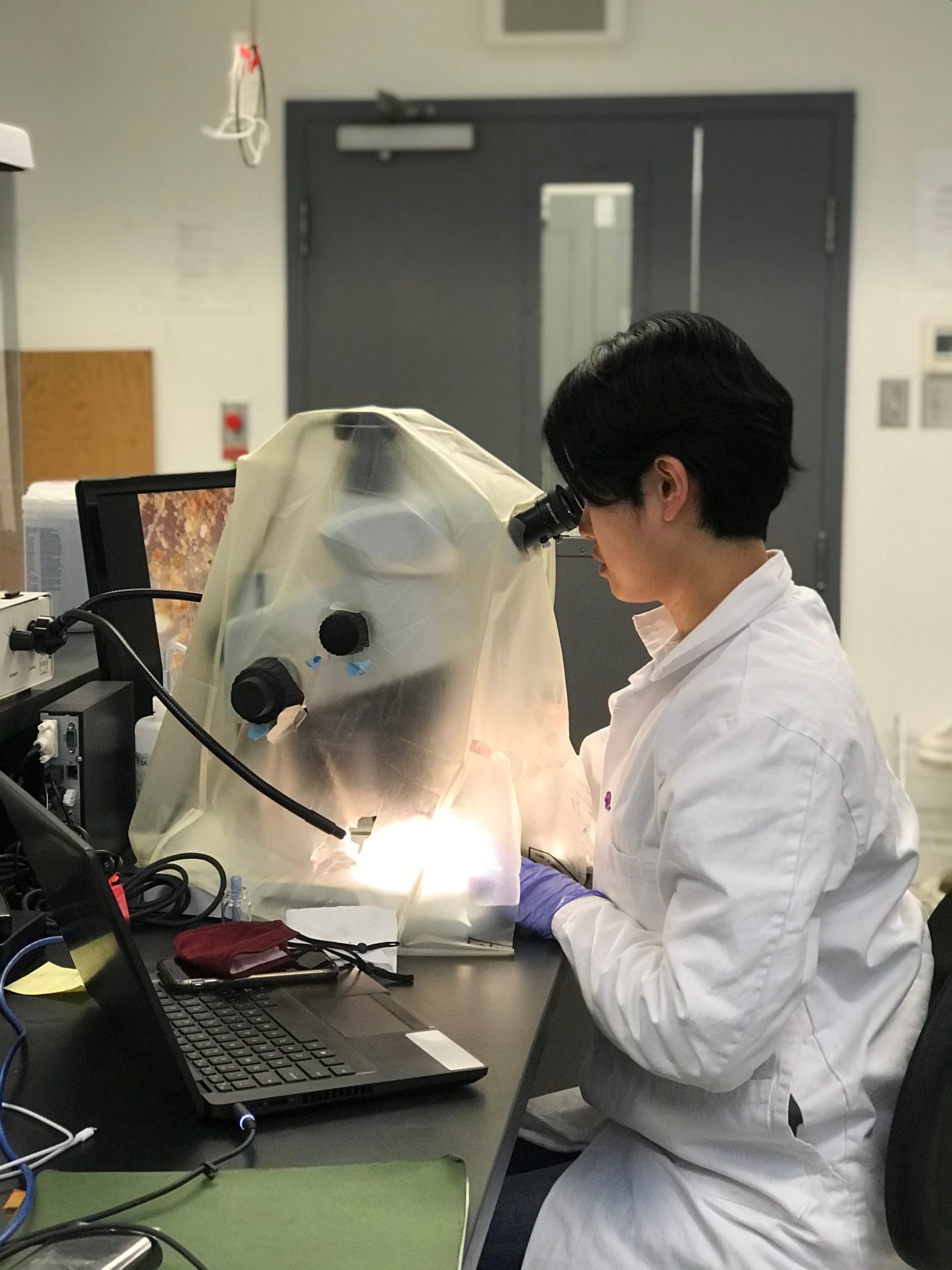 Plastic Pollution - Ocean Wise