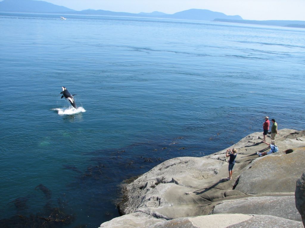 Visit the Whale Trail BC - Ocean Wise