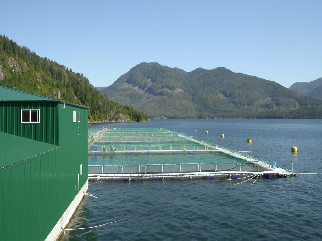 Aquaculture 101: Part 2 - Ocean Wise