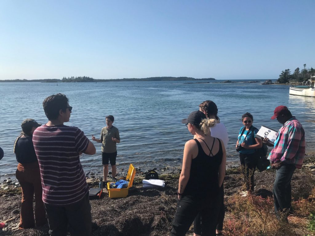 Ocean Bridge Comes Full Circle - Ocean Wise