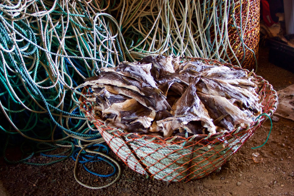 In Cod We Trust - Ocean Wise