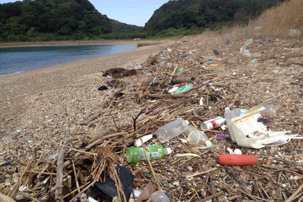 Five Things I Learned in Japan About Shoreline Litter - Ocean Wise