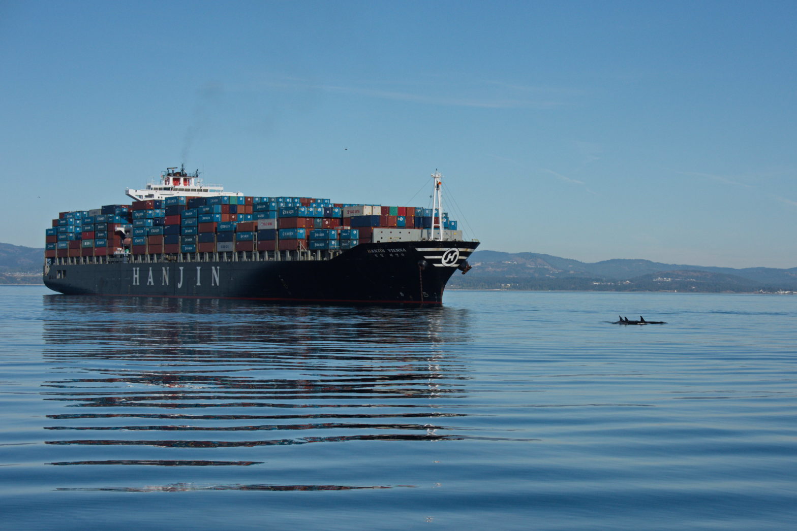 Ocean Wise Sightings Network - Ocean Wise