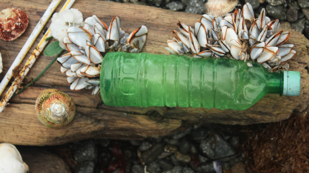 Percentage of single-use food packaging litter nearly doubled during ...