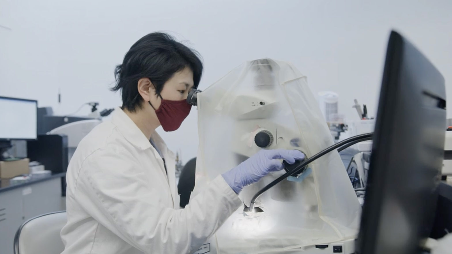 Laundry Releases Trillions of Plastic Microfibers Into the Ocean ...