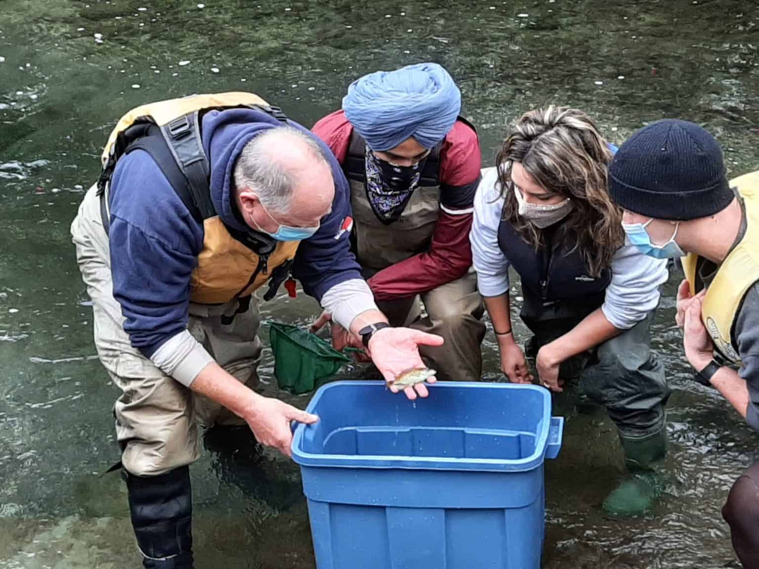 Lead a Shoreline Cleanup - Ocean Wise