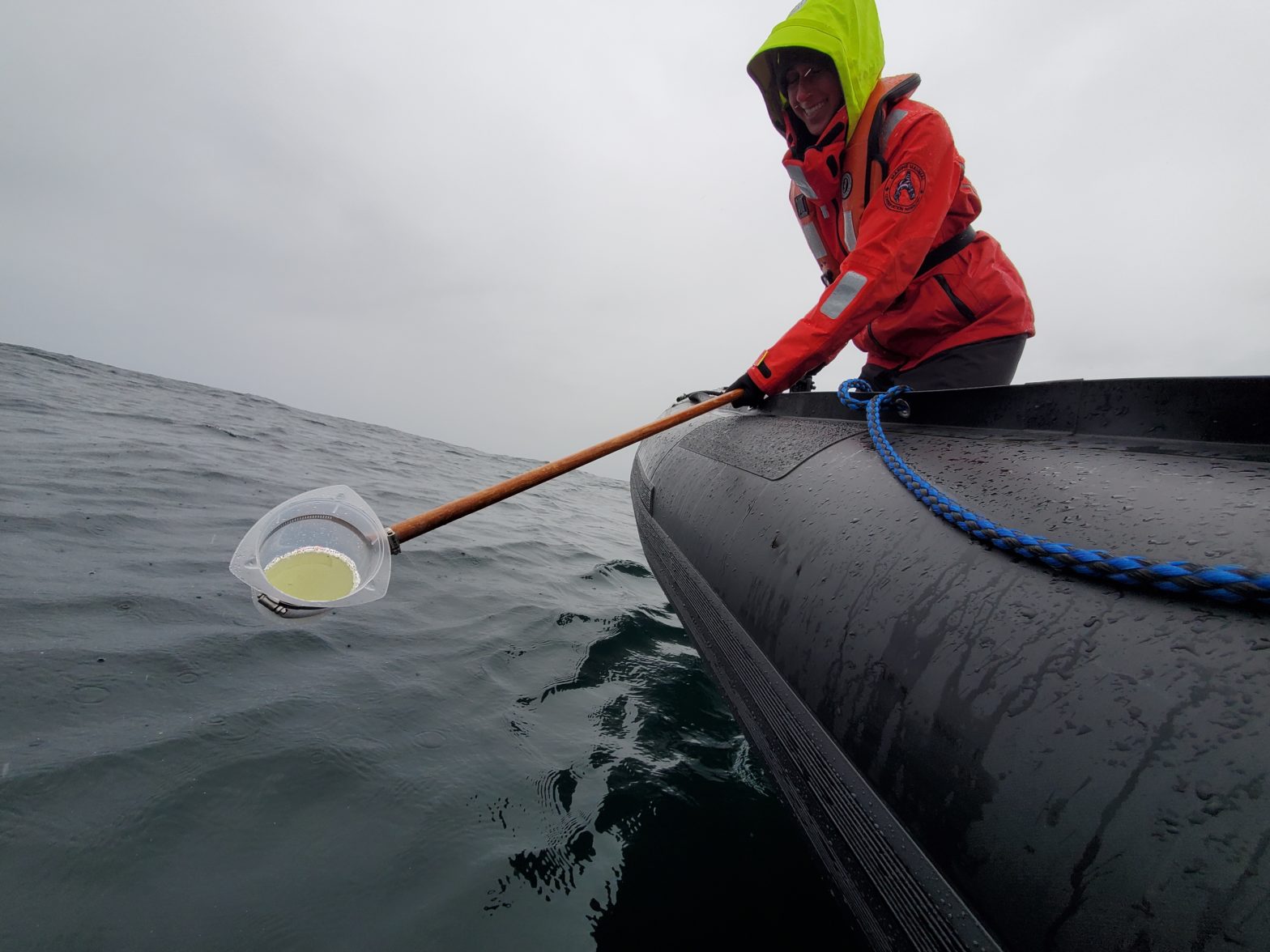 Just Another Day Collecting Whale Poo - Ocean Wise