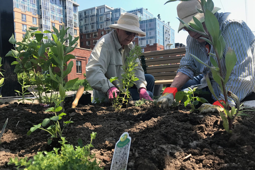 How to Transform Your Park Into a Community - Ocean Wise