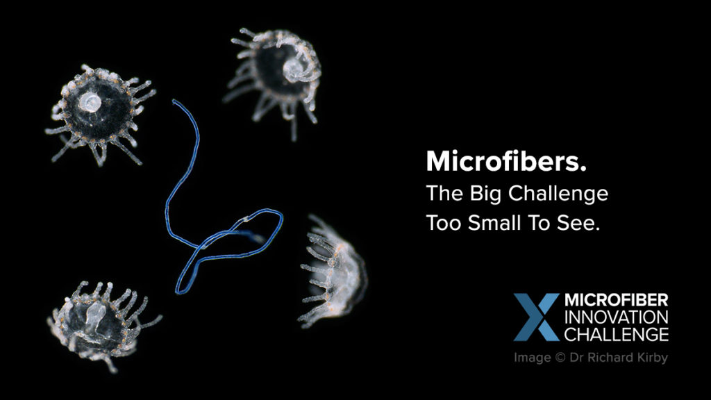 Calling all geniuses for the Microfiber Innovation Challenge - Ocean Wise