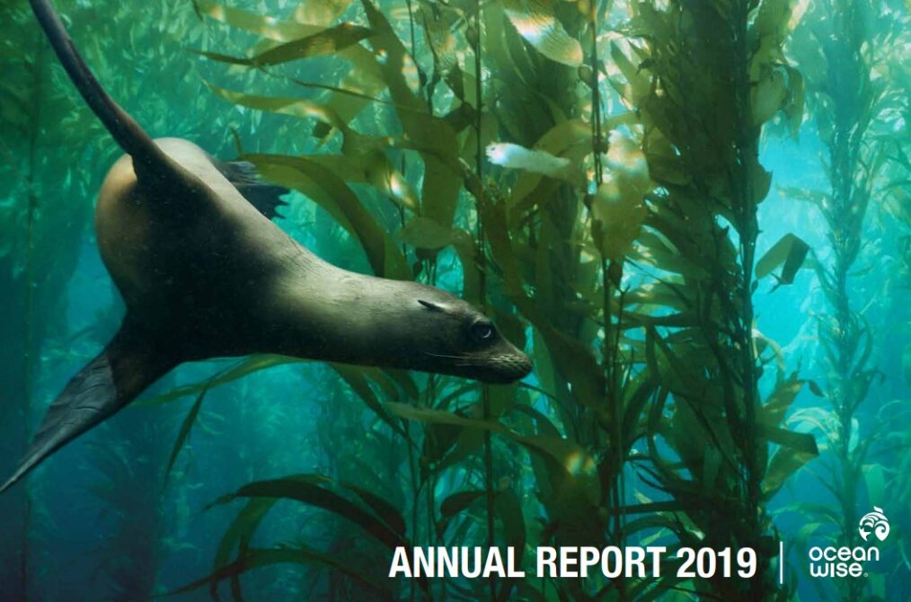 Impact and Annual Reports - Ocean Wise