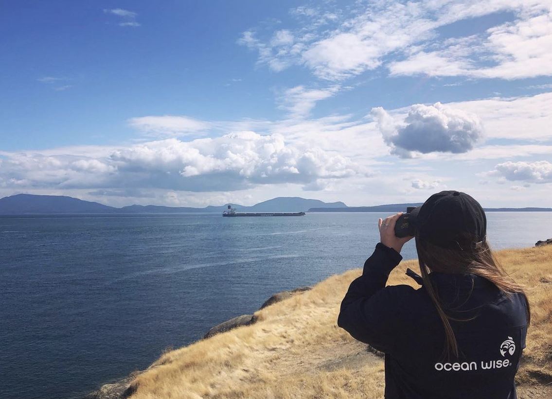 Join our newsletter - Ocean Wise