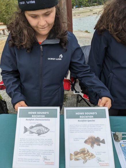 Ocean Literacy - Ocean Wise