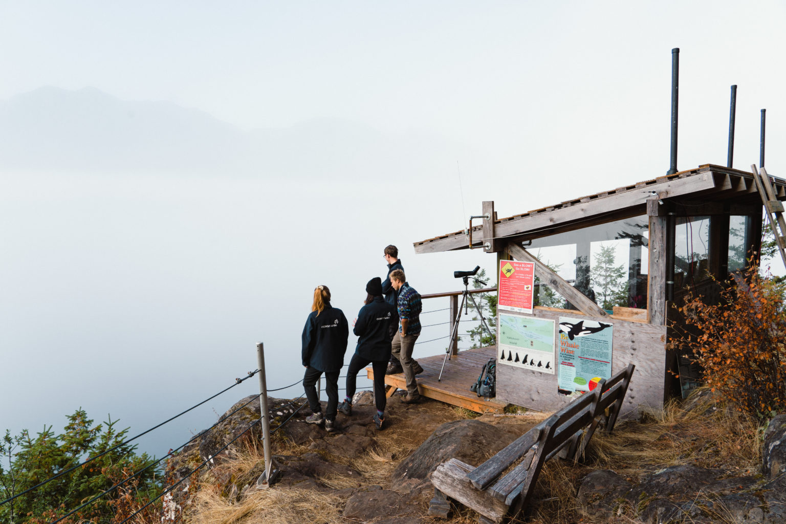 Ocean Pathways - How it works - Ocean Wise