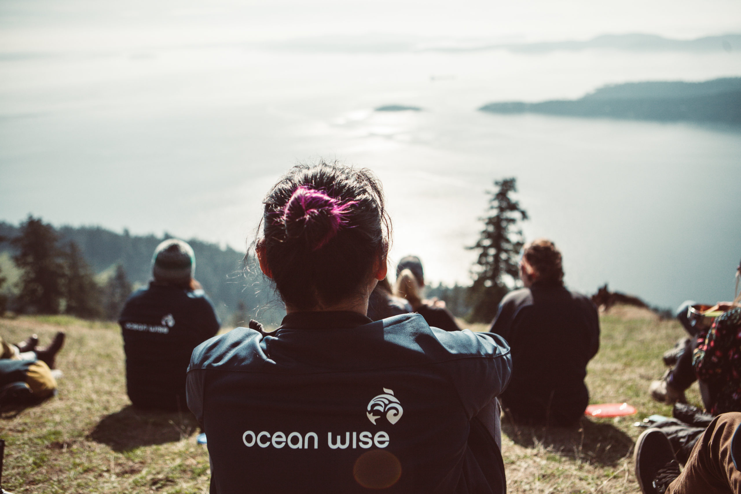 Ocean Bridge - How it works - Ocean Wise