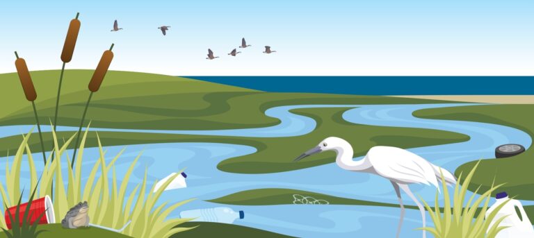 Ocean Plastic Education Kit - Ocean Wise