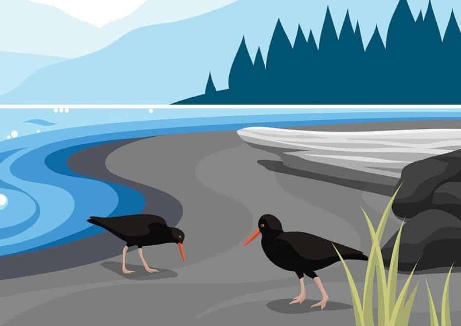 Ocean Plastic Education Kit - Ocean Wise