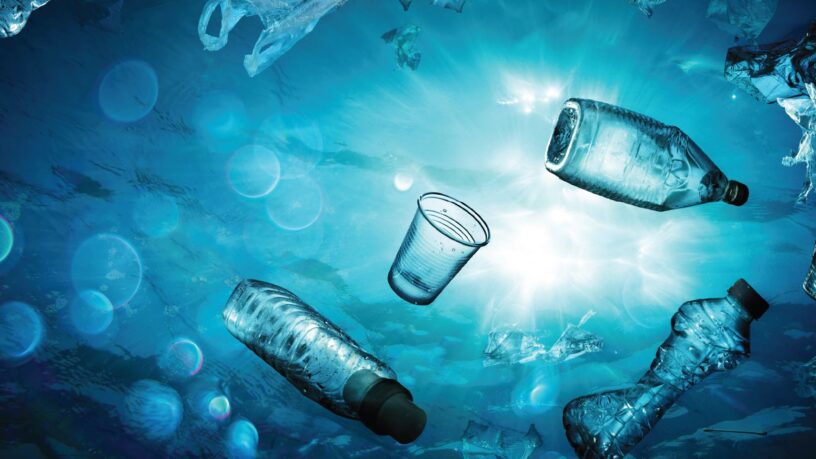Take the Ocean Wise Plastic Challenge - Ocean Wise