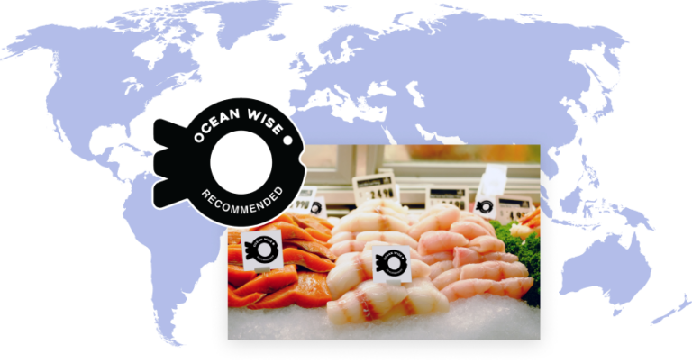 Homepage - Ocean Wise