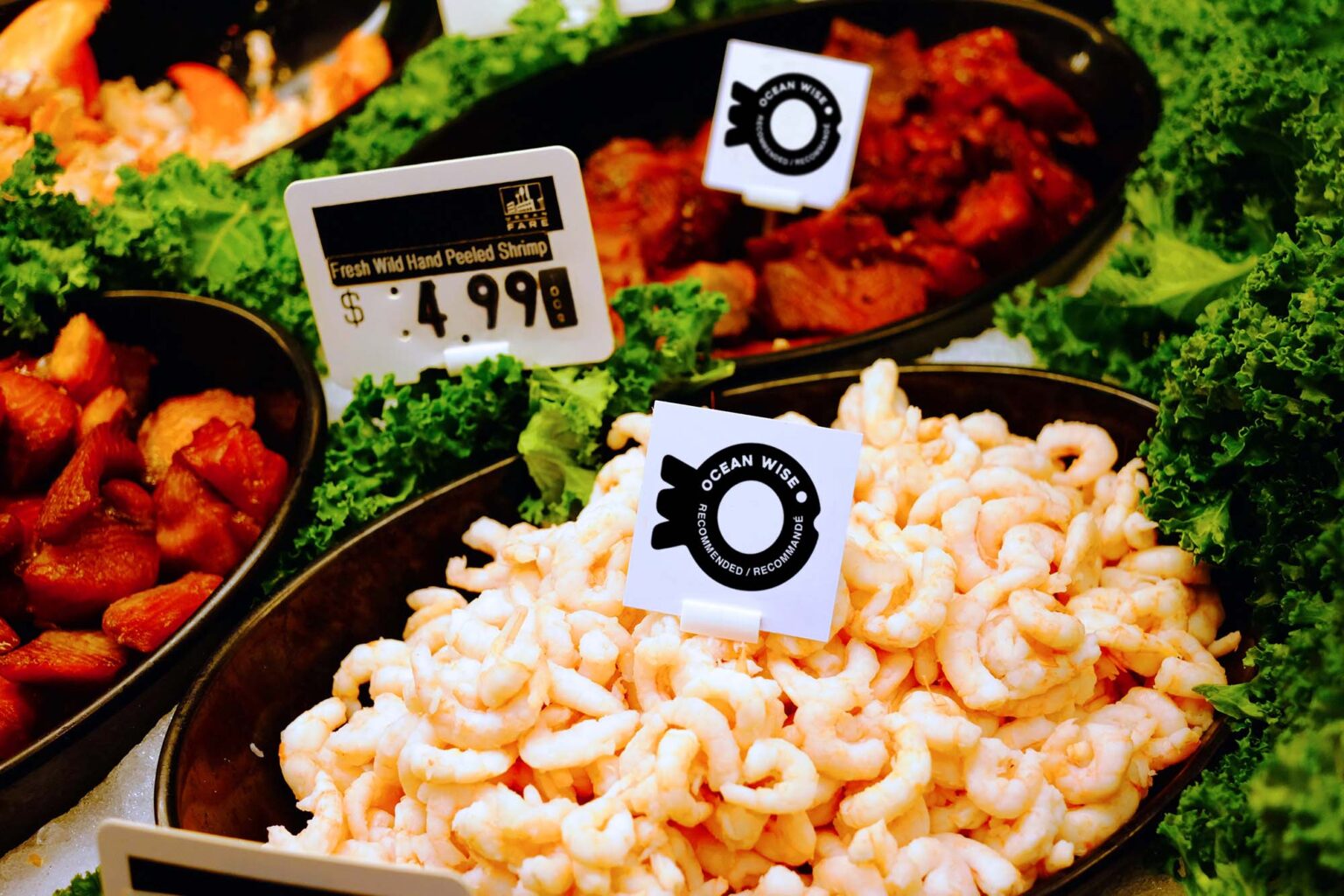 How Ocean Wise Seafood creates a chain of change - Ocean Wise