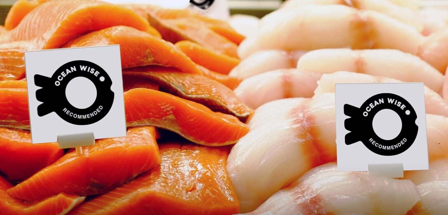 Coming to a fish counter near you: Introducing the new Ocean Wise logo ...