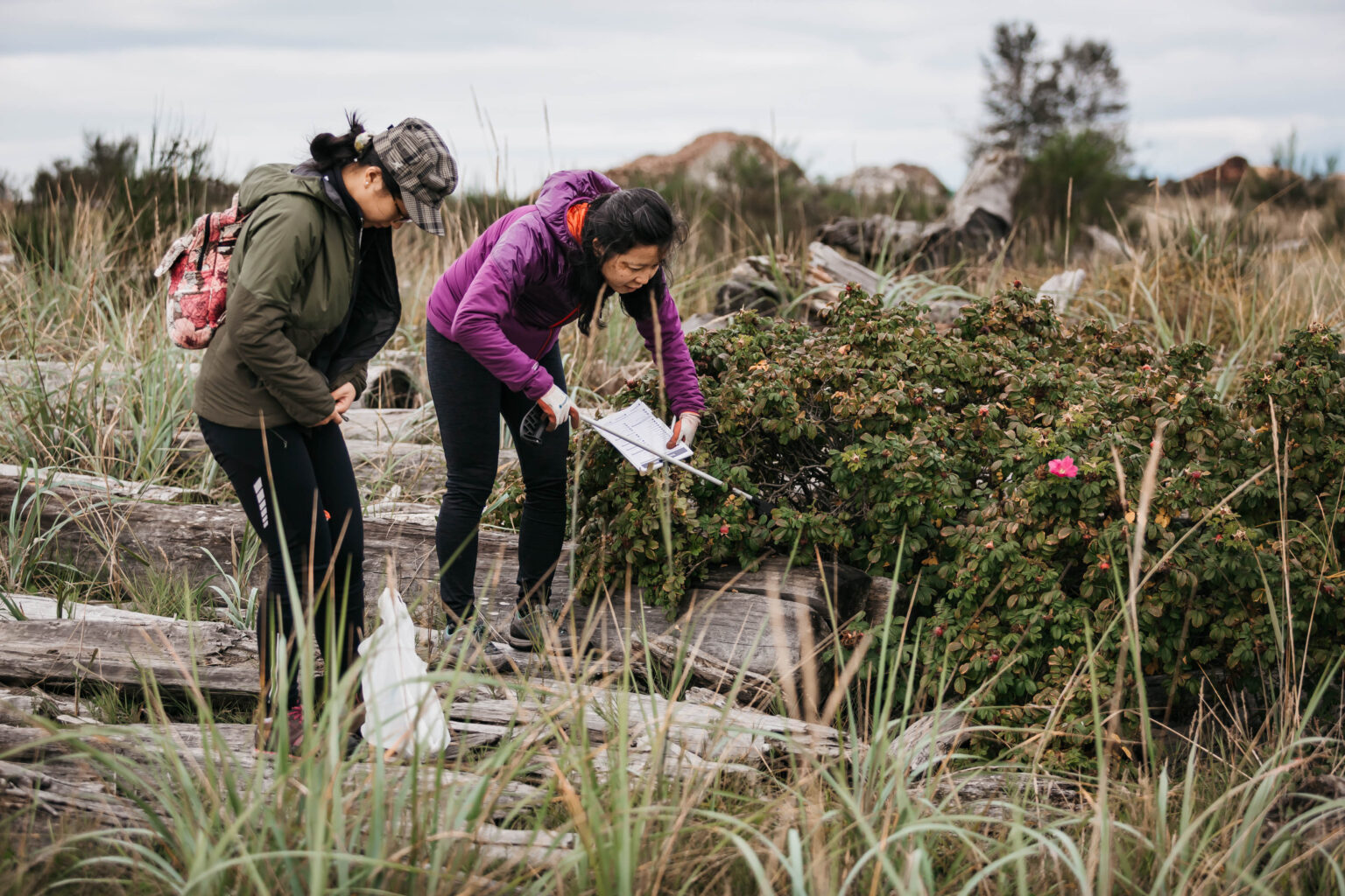 Lead a Shoreline Cleanup - Ocean Wise