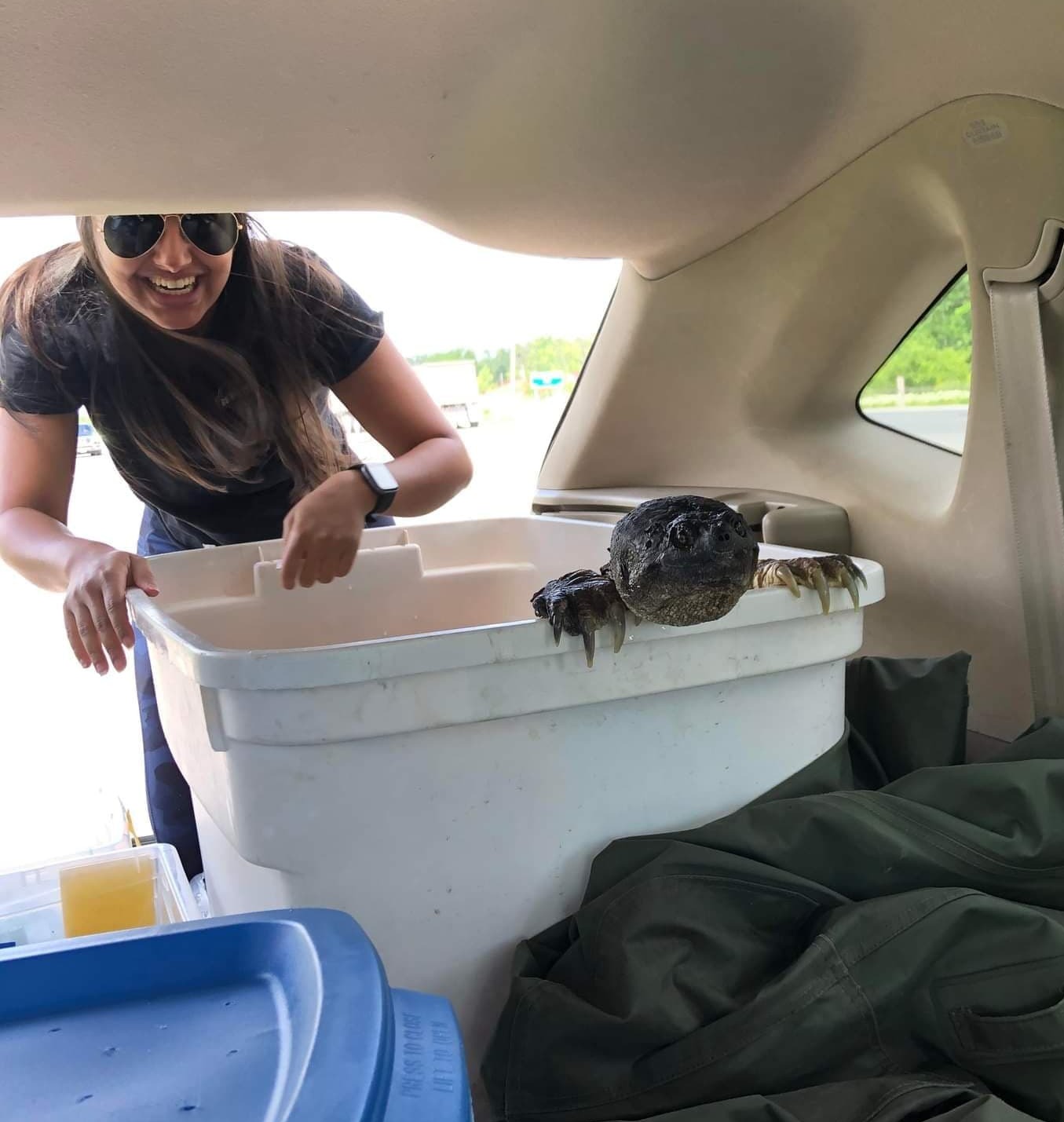 Ocean Pathways – How it works - Ocean Wise