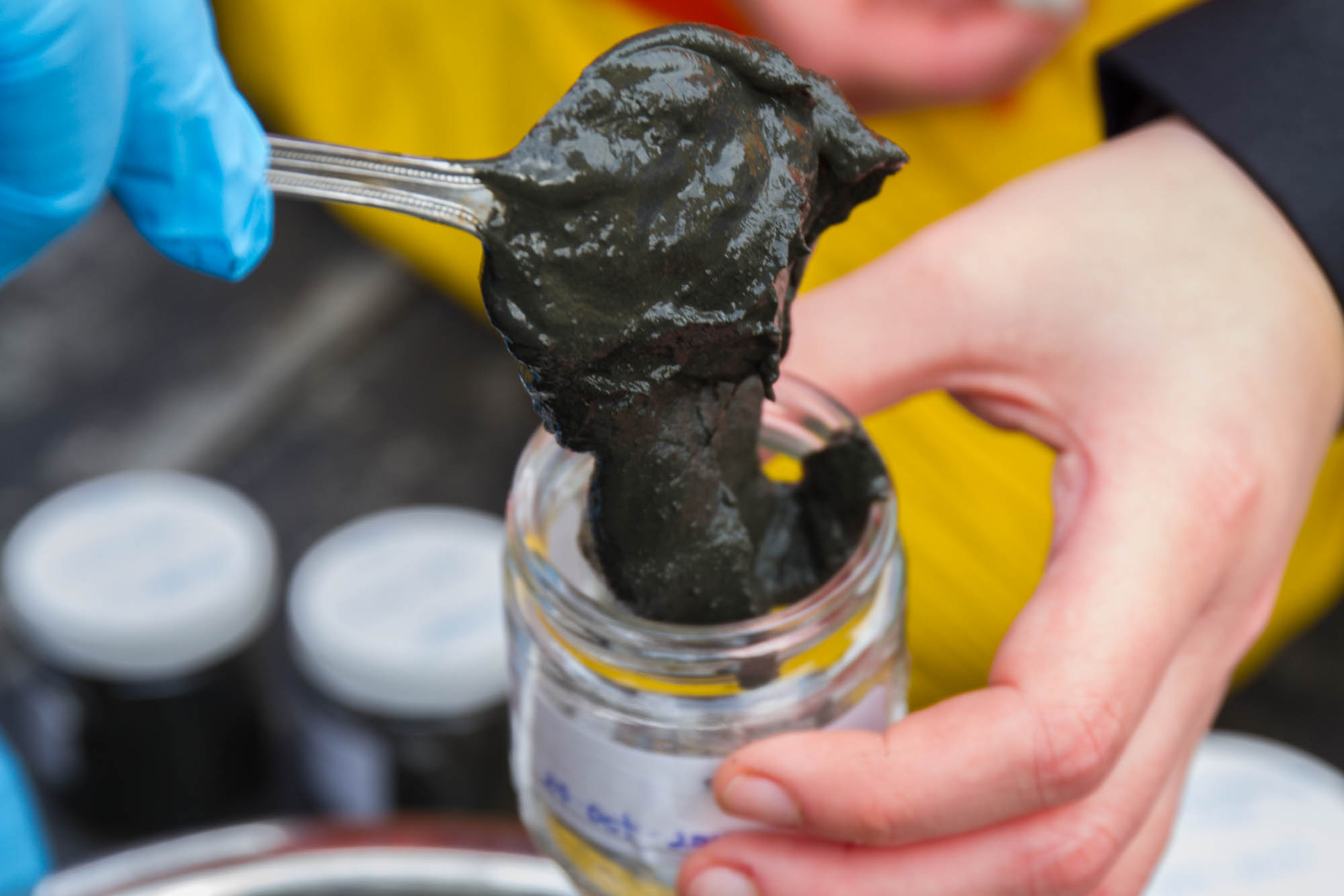 Ocean Wise Pollution Tracker Releases Phase 2 Data on Contaminants of ...