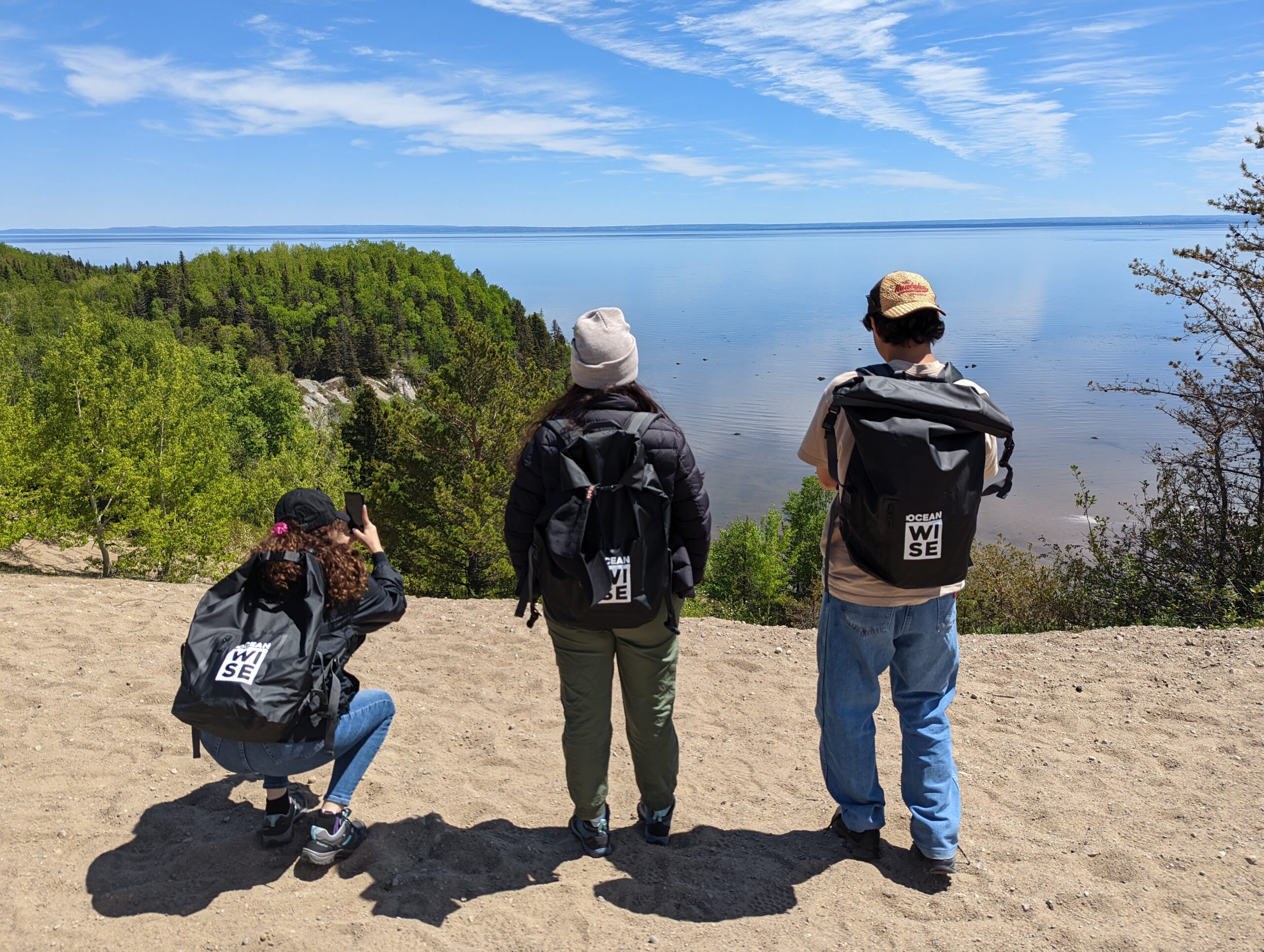 Ocean Bridge - How it works - Ocean Wise