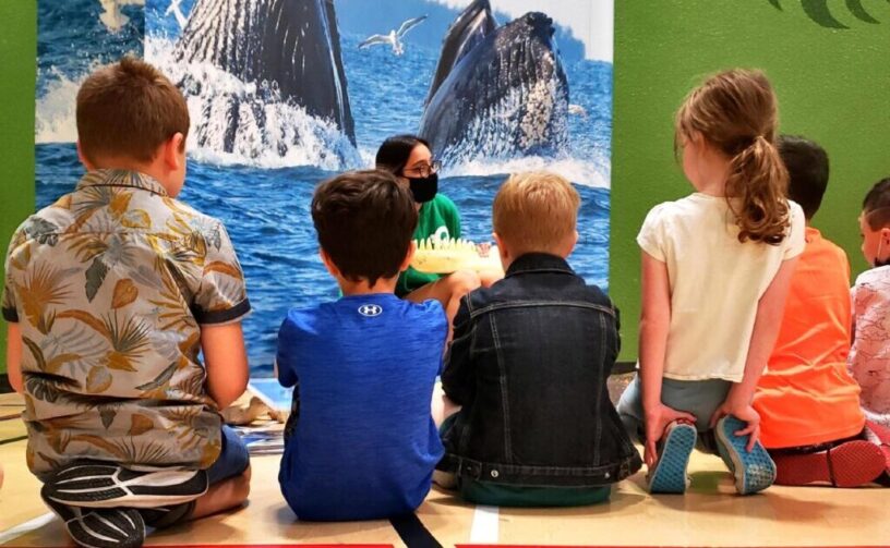 Learn & Explore - Ocean Wise