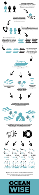 How Ocean Wise Seafood creates a chain of change - Ocean Wise