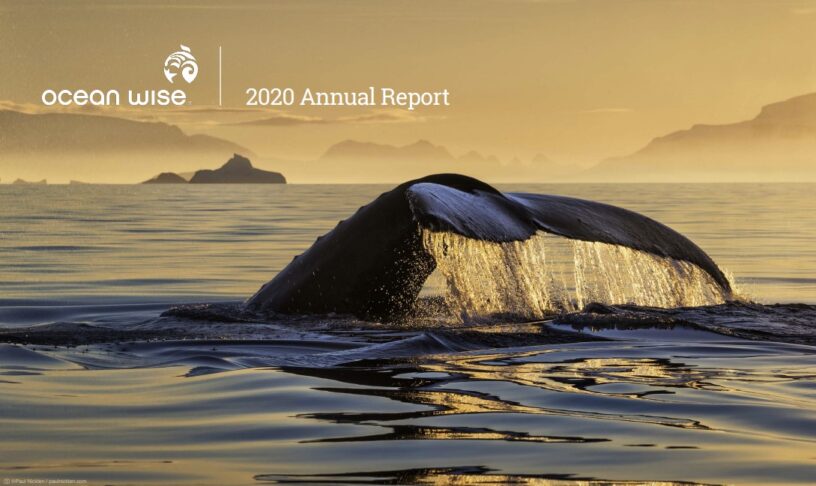 Annual Reports - Ocean Wise