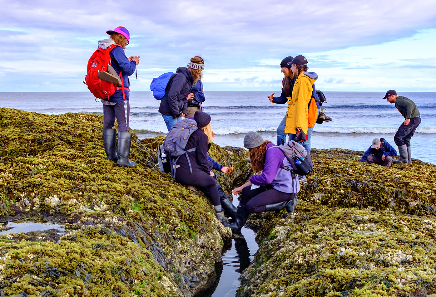 Call for Applications: IMPAC5 and Ocean Wise launch Youth and Young Professionals Coastal ...