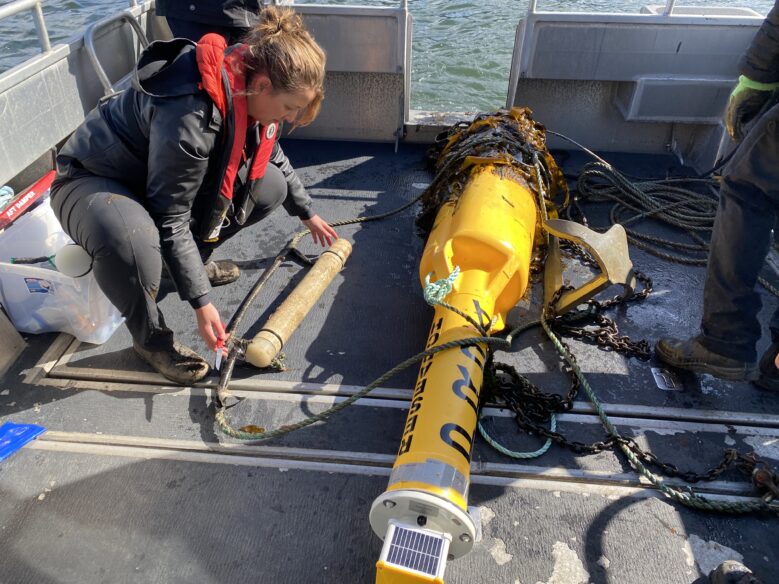 From the Field Blog: Eavesdropping on the sneaky Pacific harbour ...