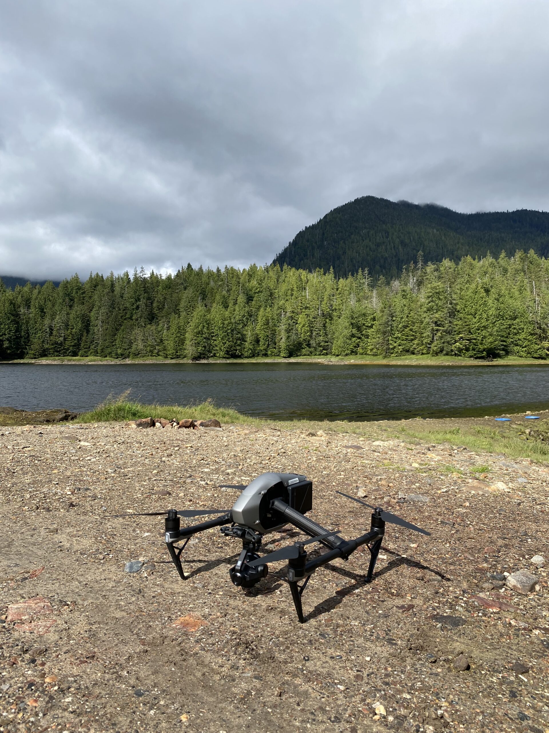 From the Field Blog #3 Birds-eye view: Using drones to study humpback ...