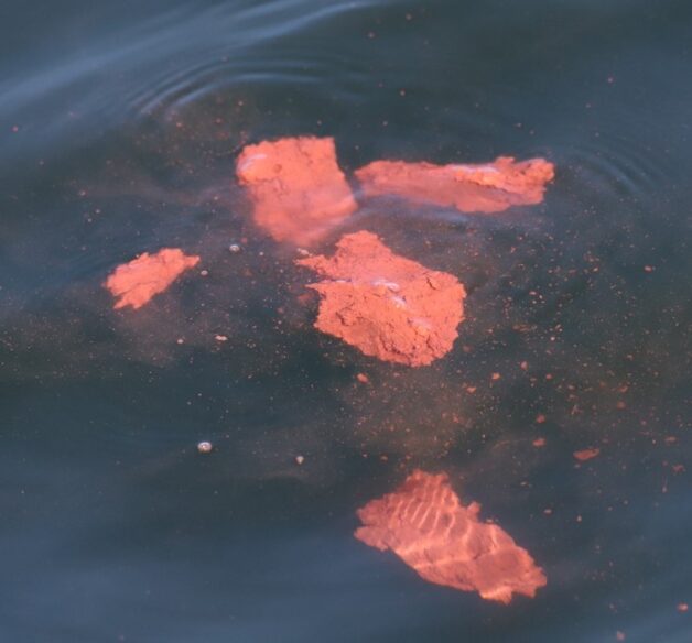 From the Field Blog #2 “It’s all in the genes - Using Environmental DNA ...