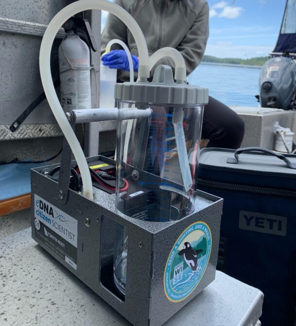 From the Field Blog #2 “It’s all in the genes - Using Environmental DNA ...