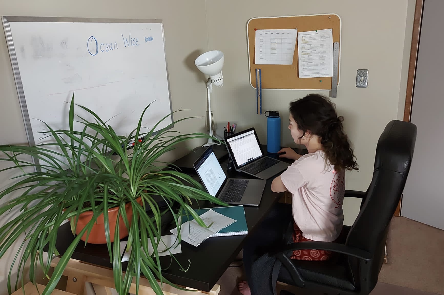 Parks Canada - Climate Change Unit - Ocean Wise