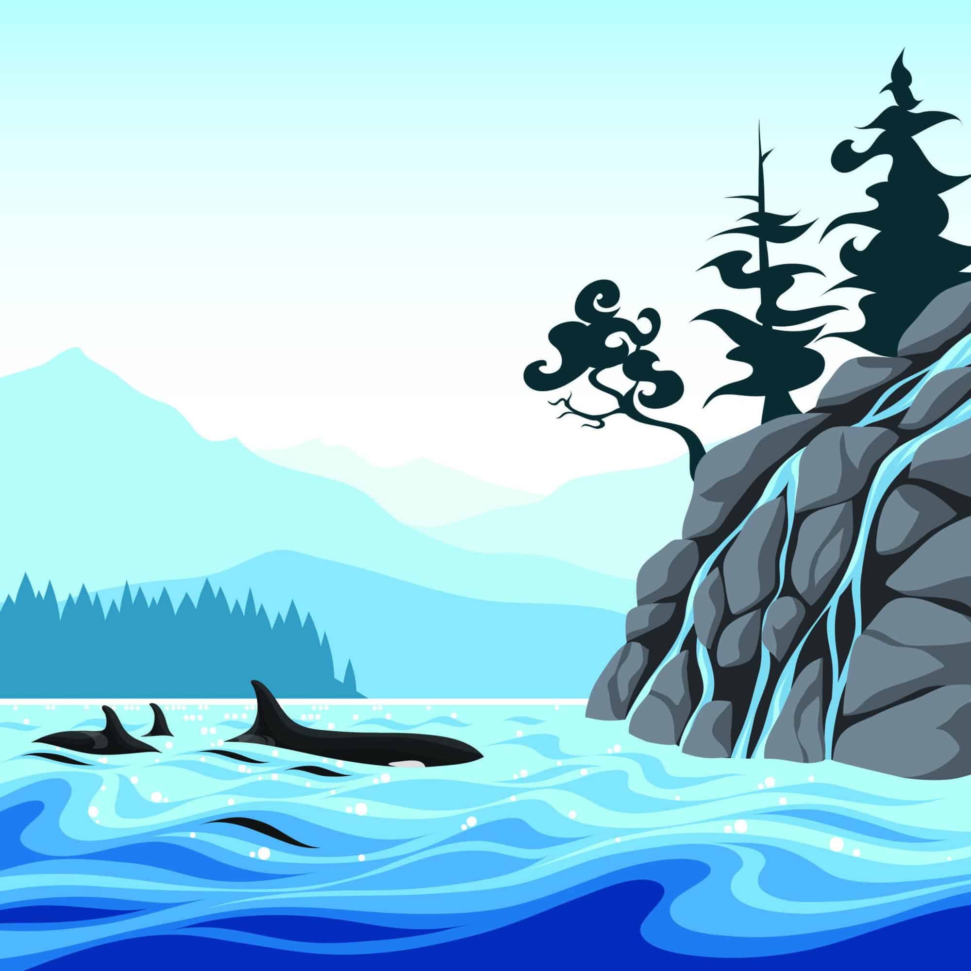 Ocean Wise launches three new Education Kits centred on ocean and ...