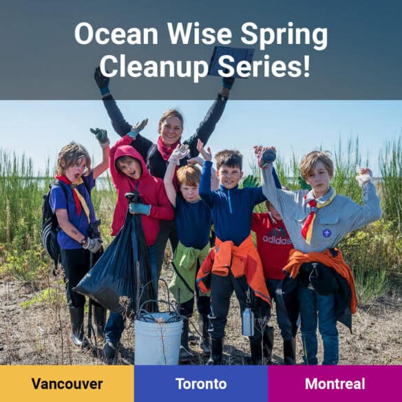 Ocean Wise Spring Cleanup: Vancouver - Ocean Wise