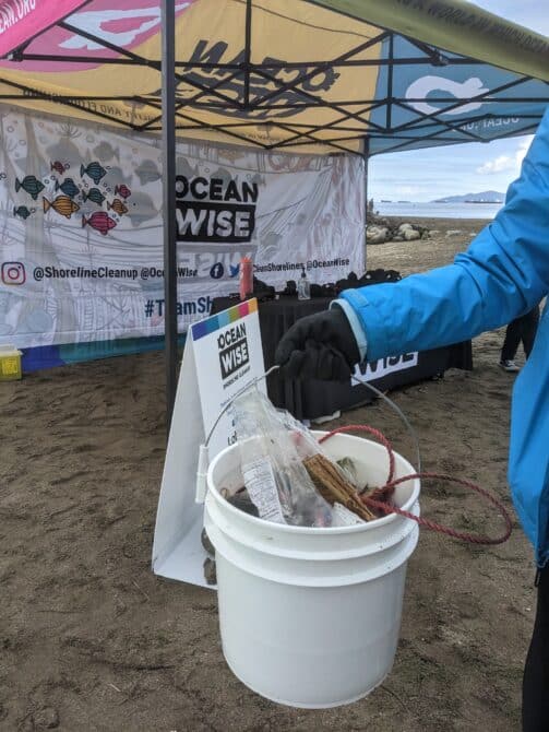 Become Shoreline Champions - Ocean Wise