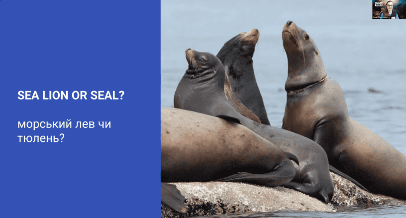 Ocean Wise partners with Classrooms Without Walls to deliver ocean ...